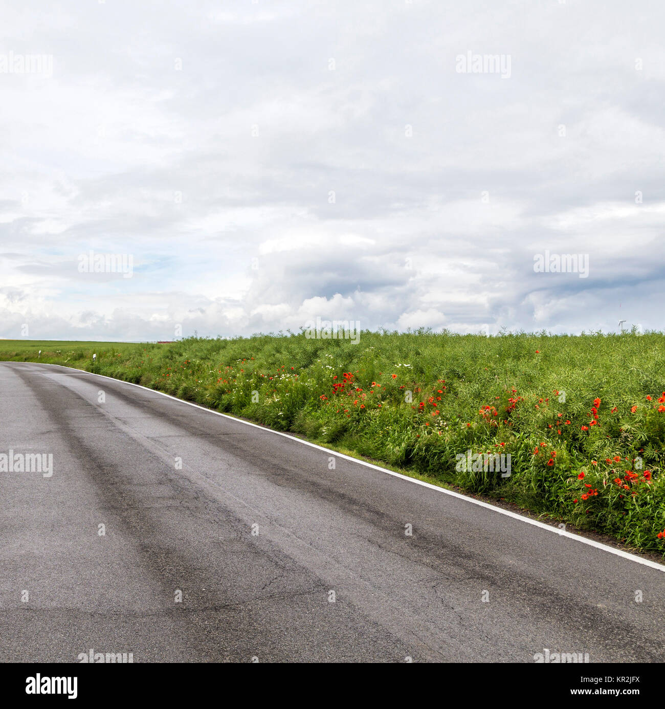 road in rural Eifel landscape with fields, Germany Stock Photo - Alamy