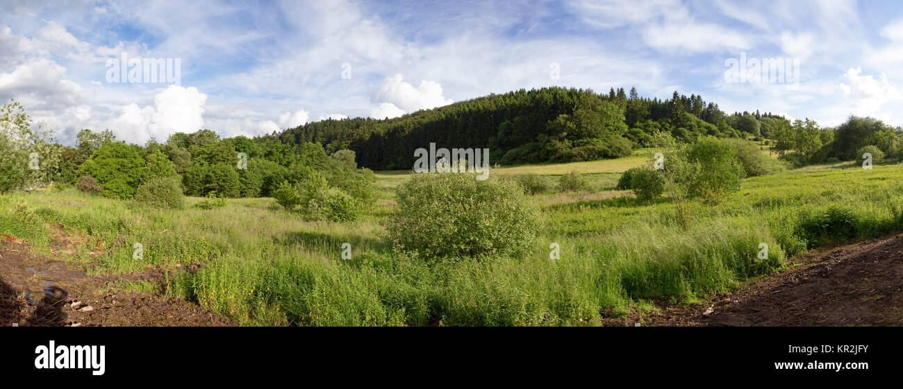 scene in the German hills of the Eifel area near Steinborn Stock Photo ...