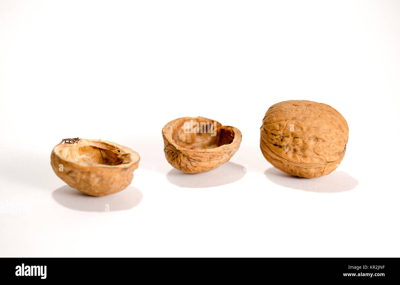 Walnuts and Shells on White Background Stock Photo - Alamy