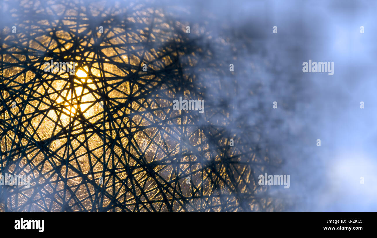 Detail of tangled network of black fibers with mystery glow in blue ...