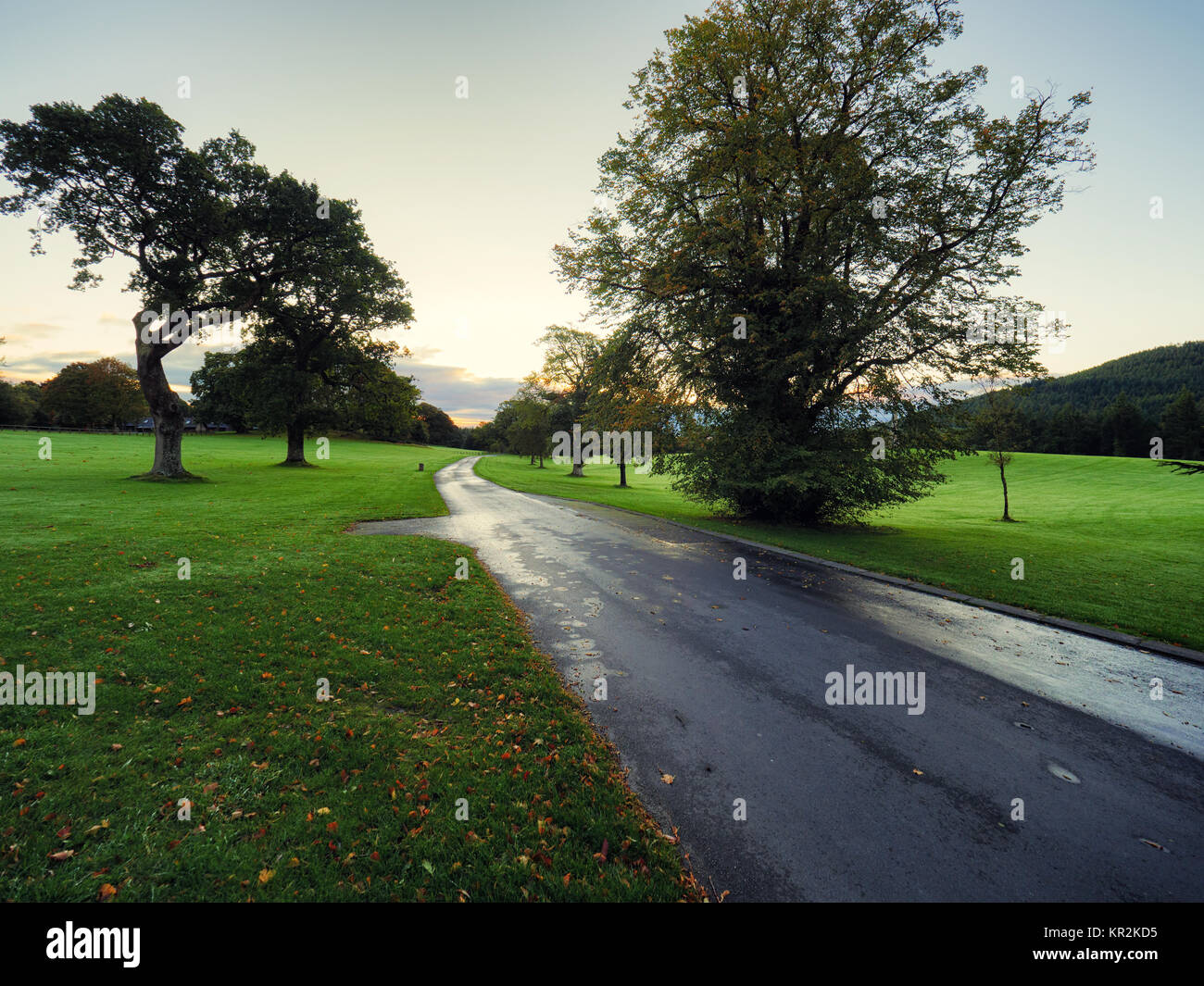 Early Autumn countryside morning,Northern Ireland Stock Photo - Alamy
