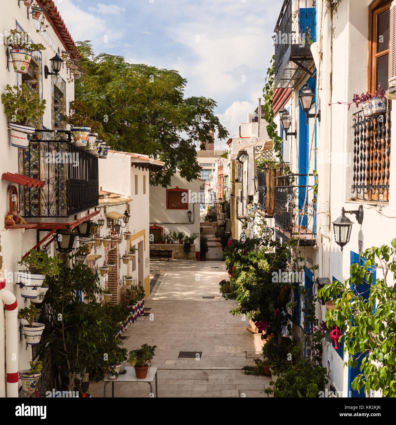 city alleys illuminated by the sun and colored by flowers Stock Photo ...