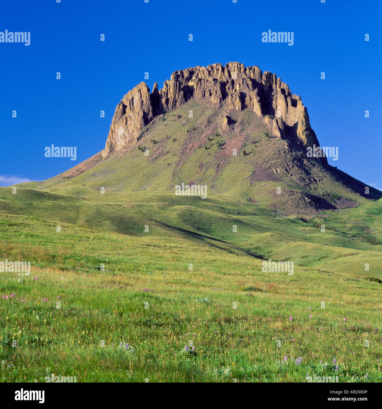birdtail butte rising above the prairie near simms, montana Stock Photo ...