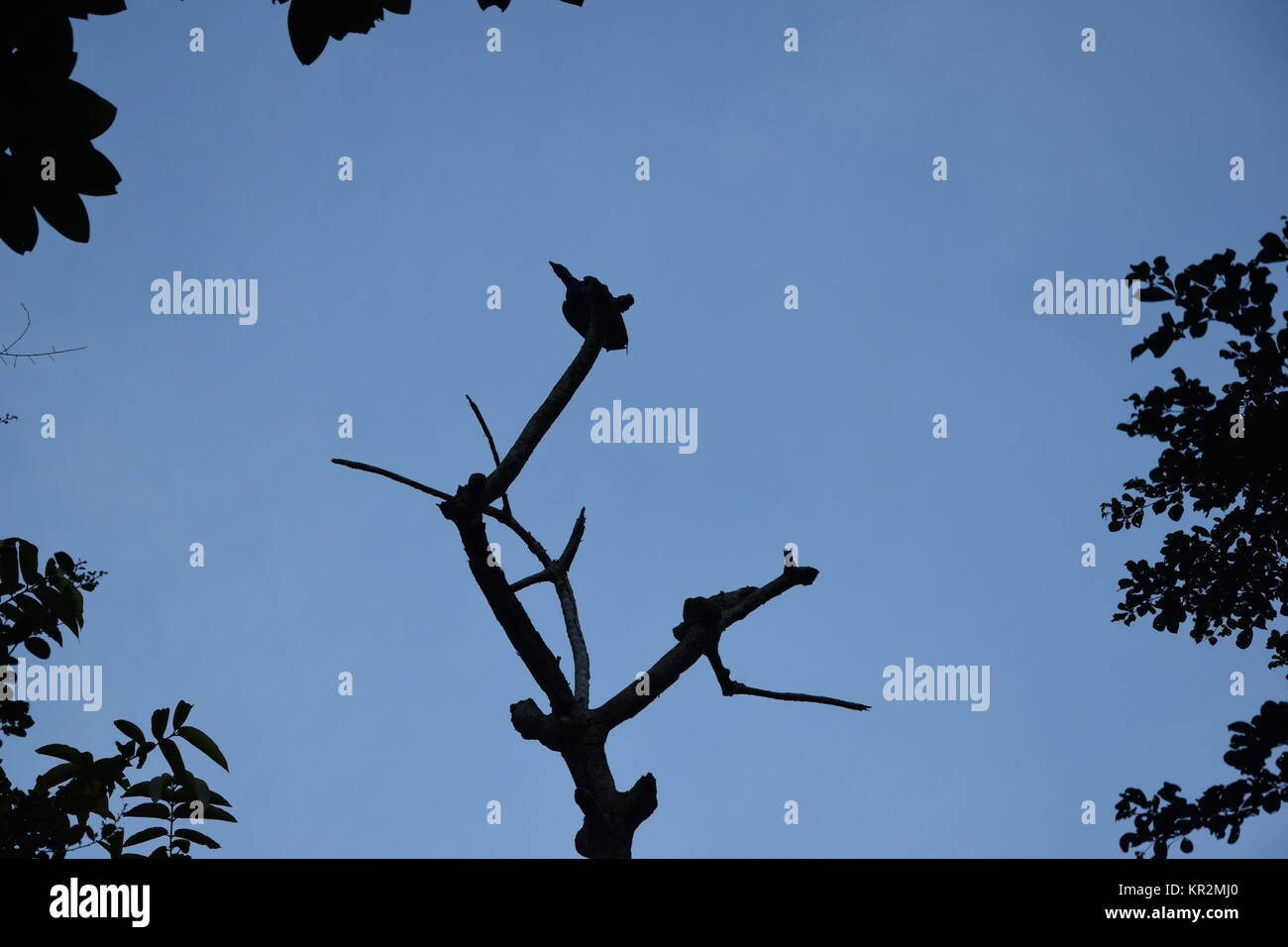 Vaultour hi-res stock photography and images - Alamy