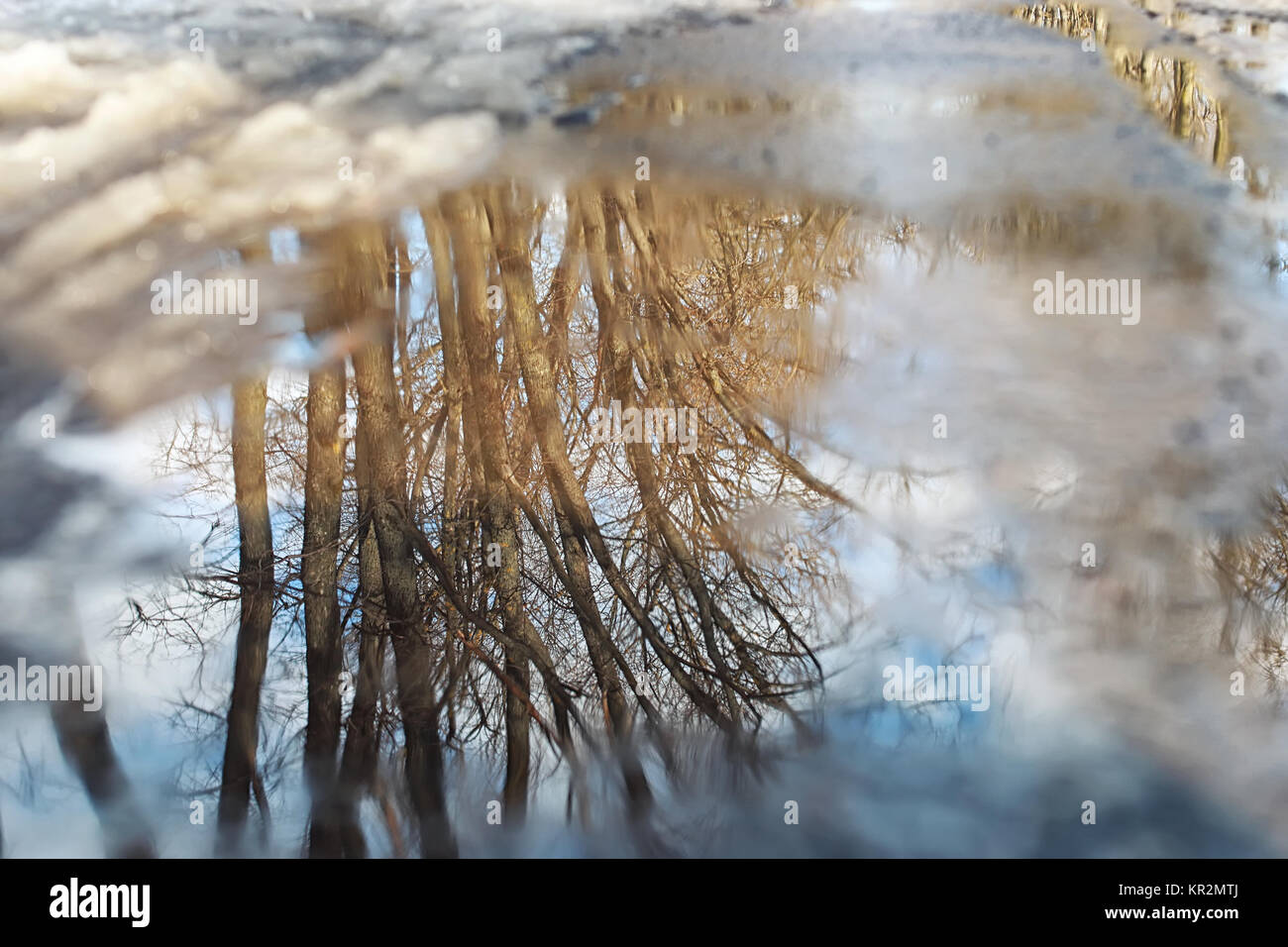 thaw snow lanscape tree Stock Photo - Alamy