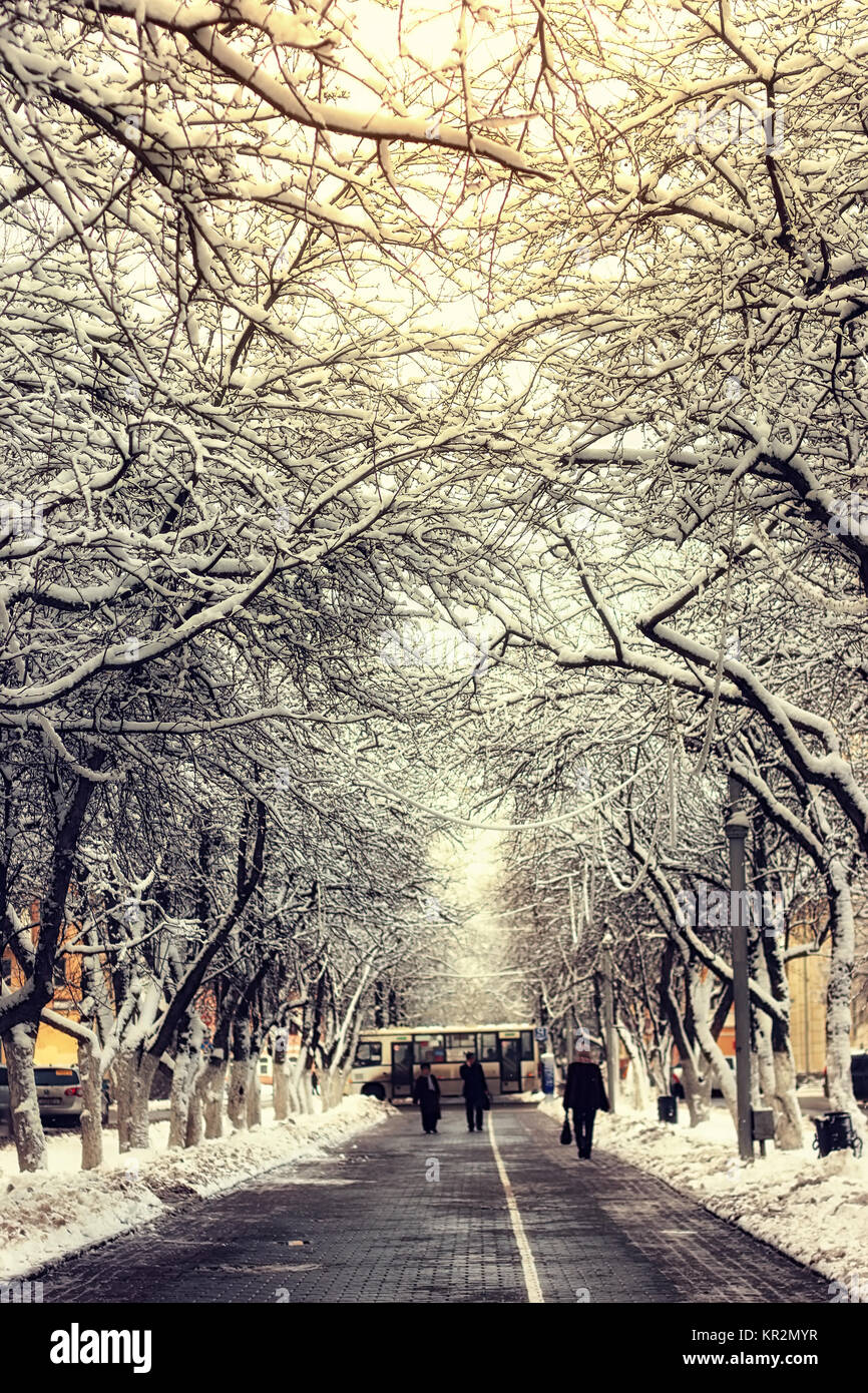 pedestrian pathway tree winter Stock Photo - Alamy