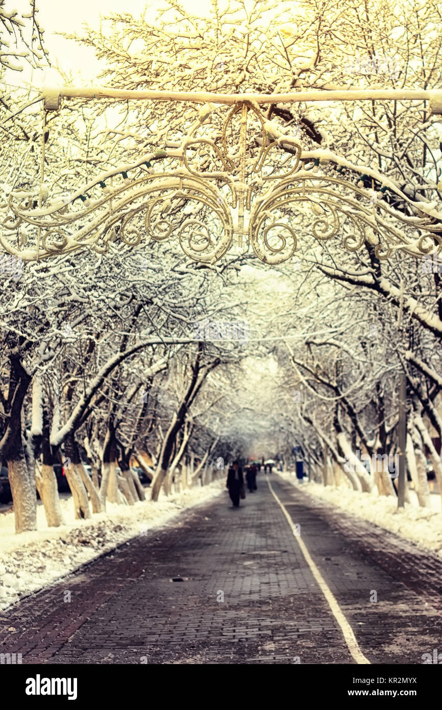 pedestrian pathway tree winter Stock Photo - Alamy