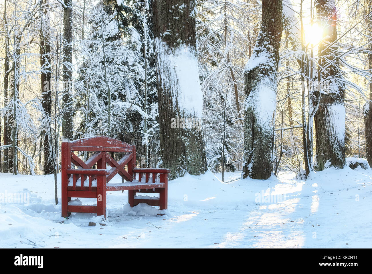 wood bench in winter Stock Photo - Alamy