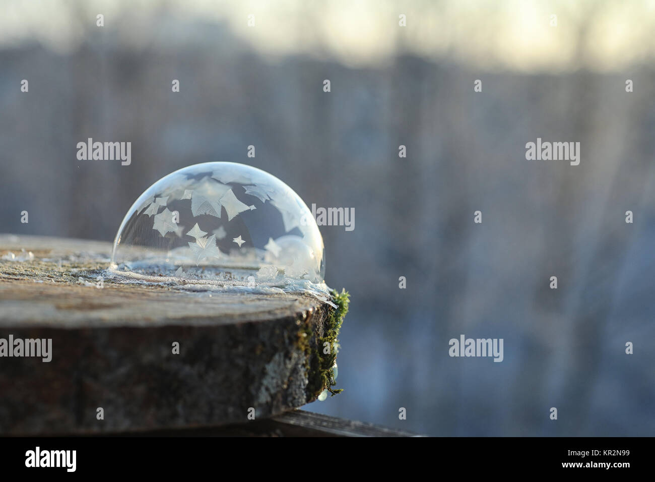 Soap bubbles freeze in the cold. Winter soapy water freezes in t Stock ...