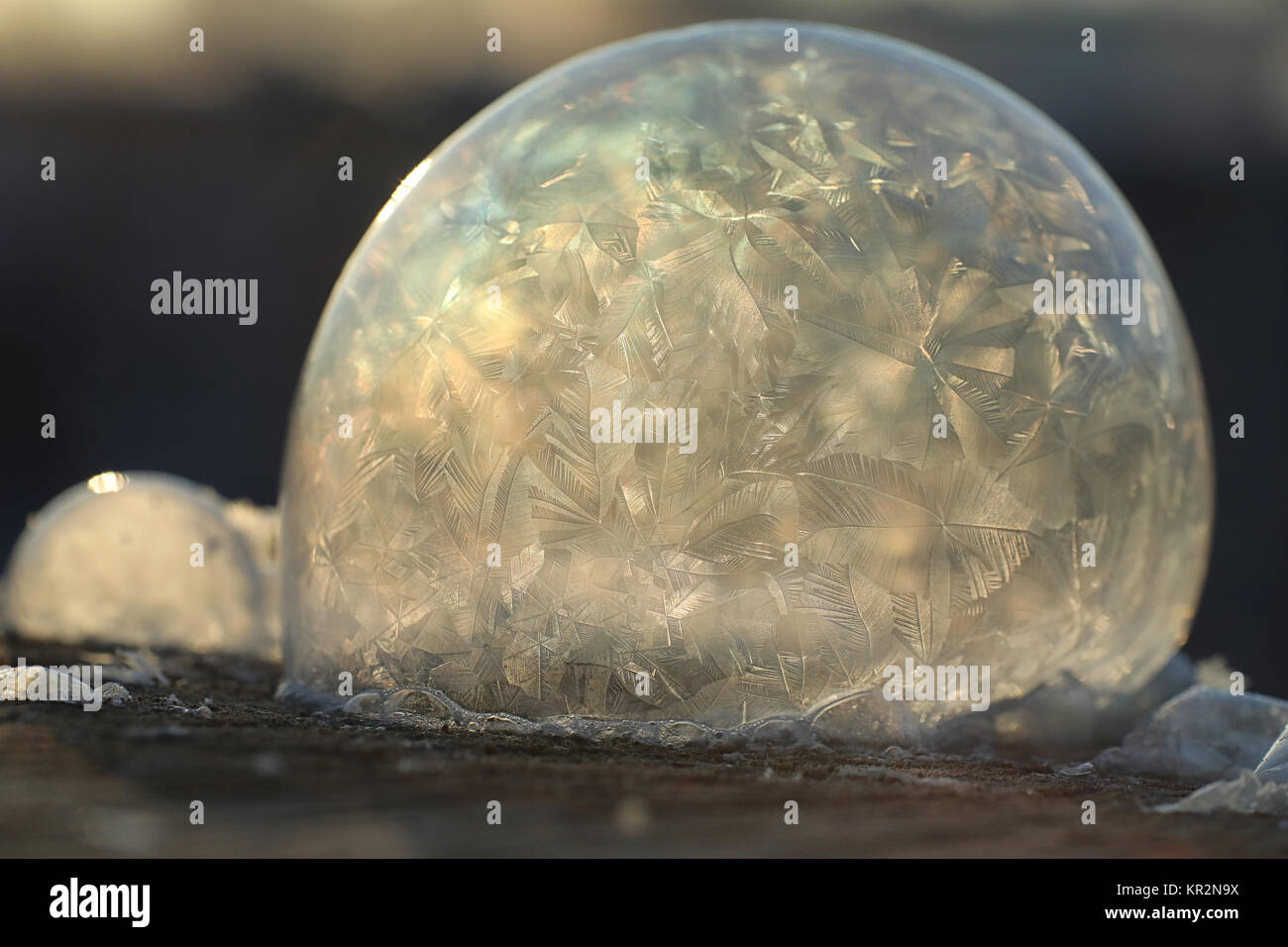Soap bubbles freeze in the cold. Winter soapy water freezes in t Stock ...