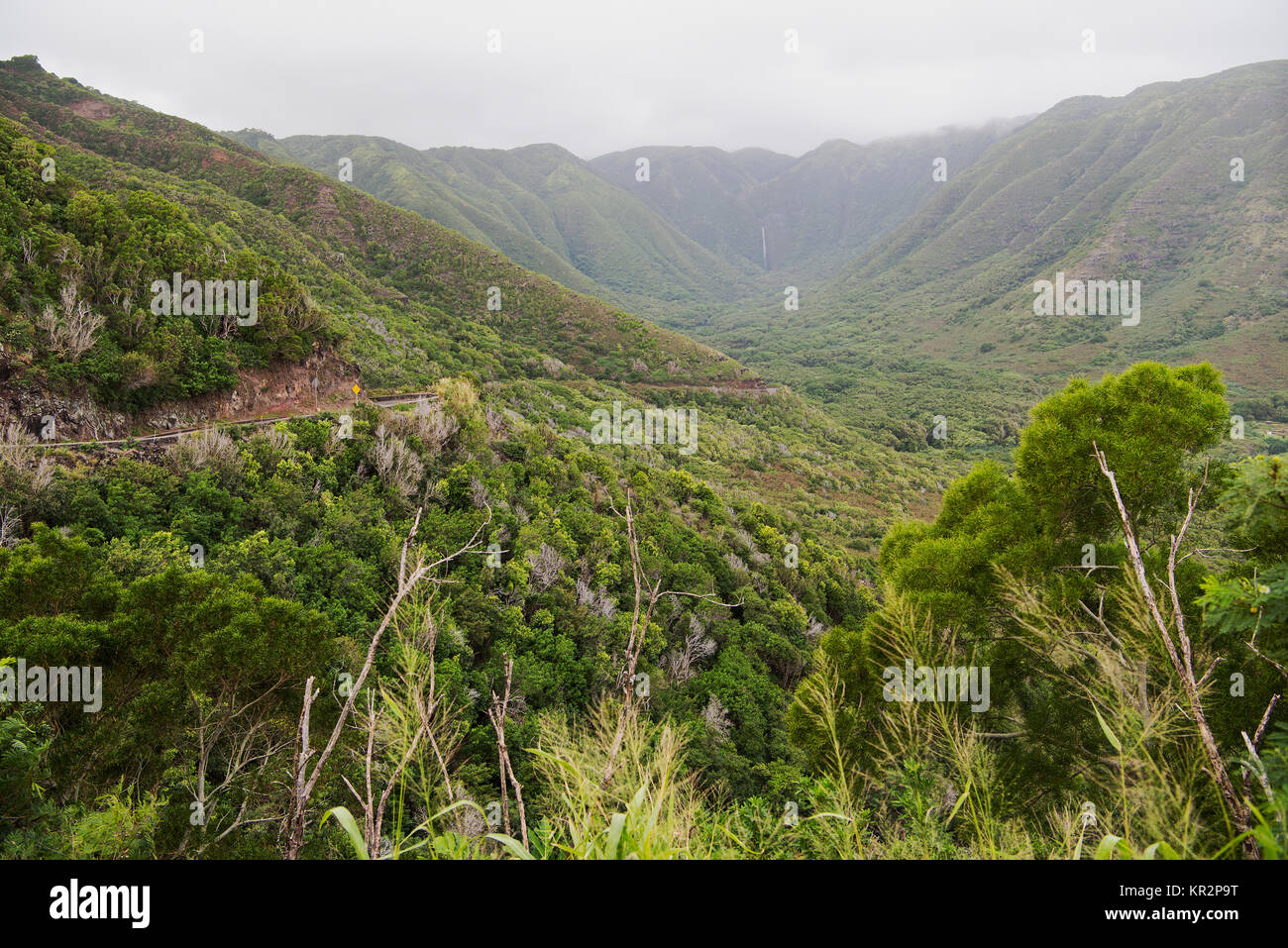 Halawa valley molokai hawaii hi-res stock photography and images - Alamy