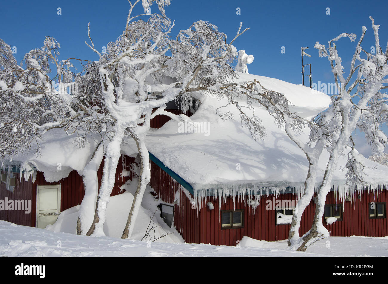 Barren winter scene hi-res stock photography and images - Alamy