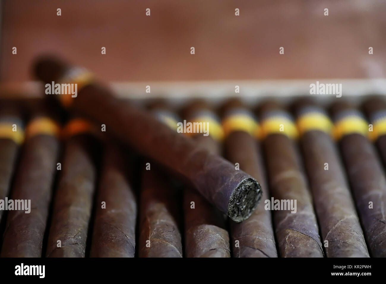 large wooden box of cigars handmade Cuban Stock Photo - Alamy