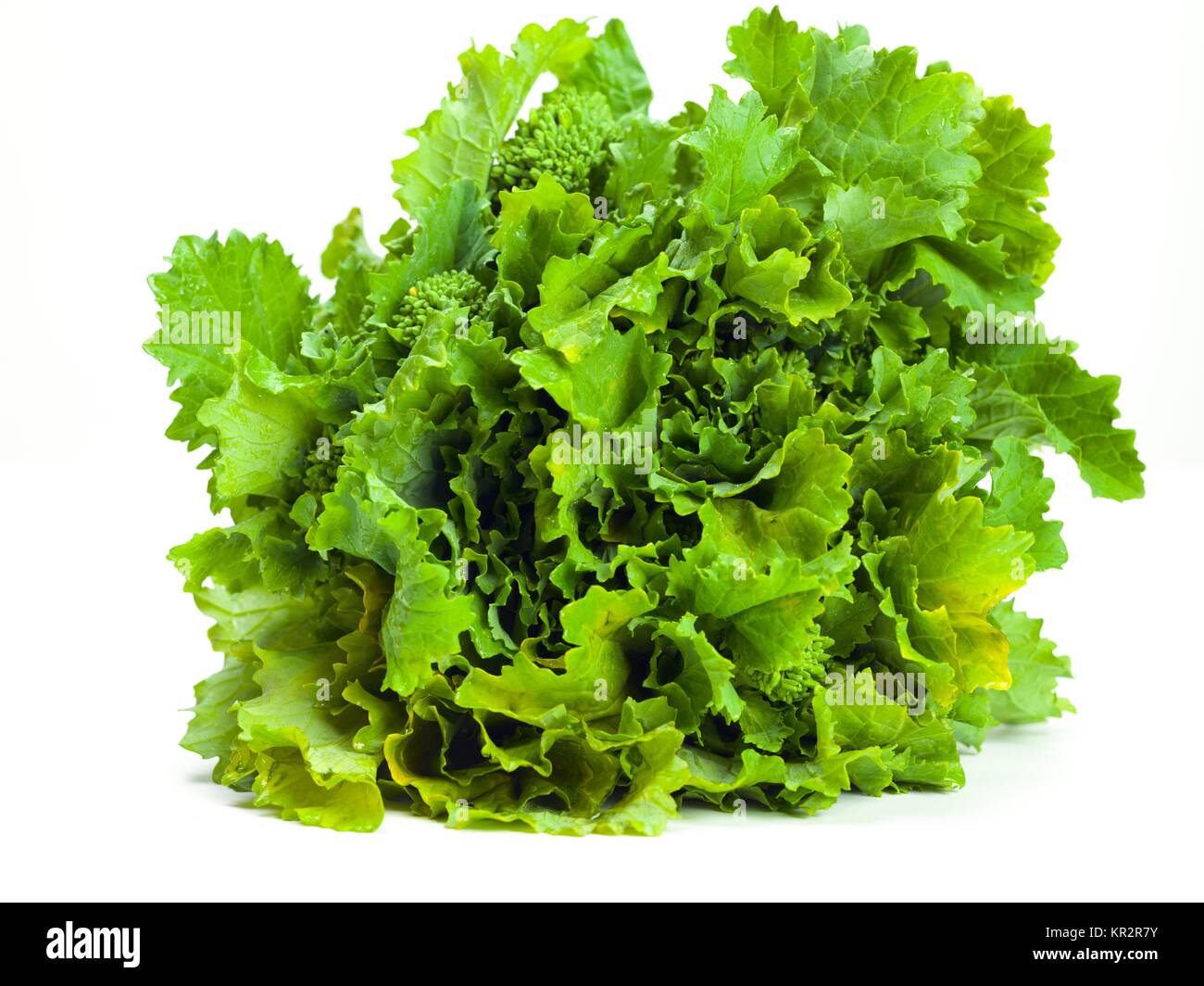 Rapini hi-res stock photography and images - Alamy