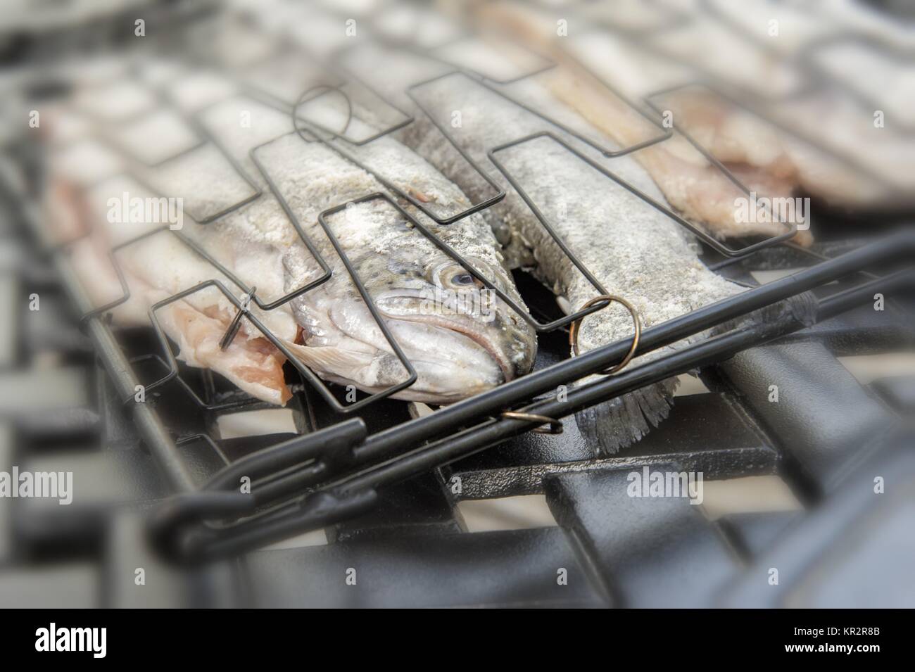 Fish cross section hi-res stock photography and images - Alamy