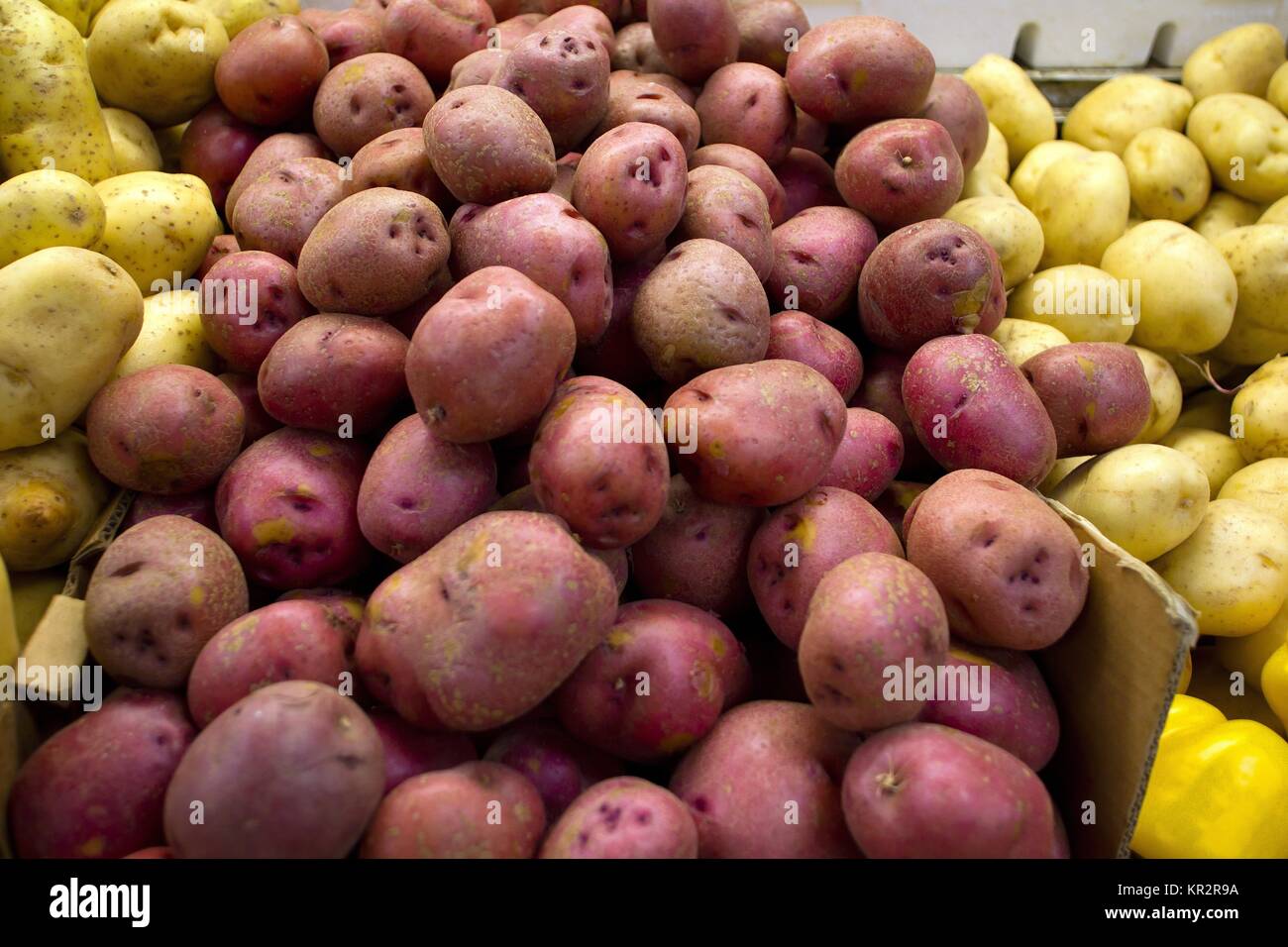 Potato potatoes white display red hi-res stock photography and images ...