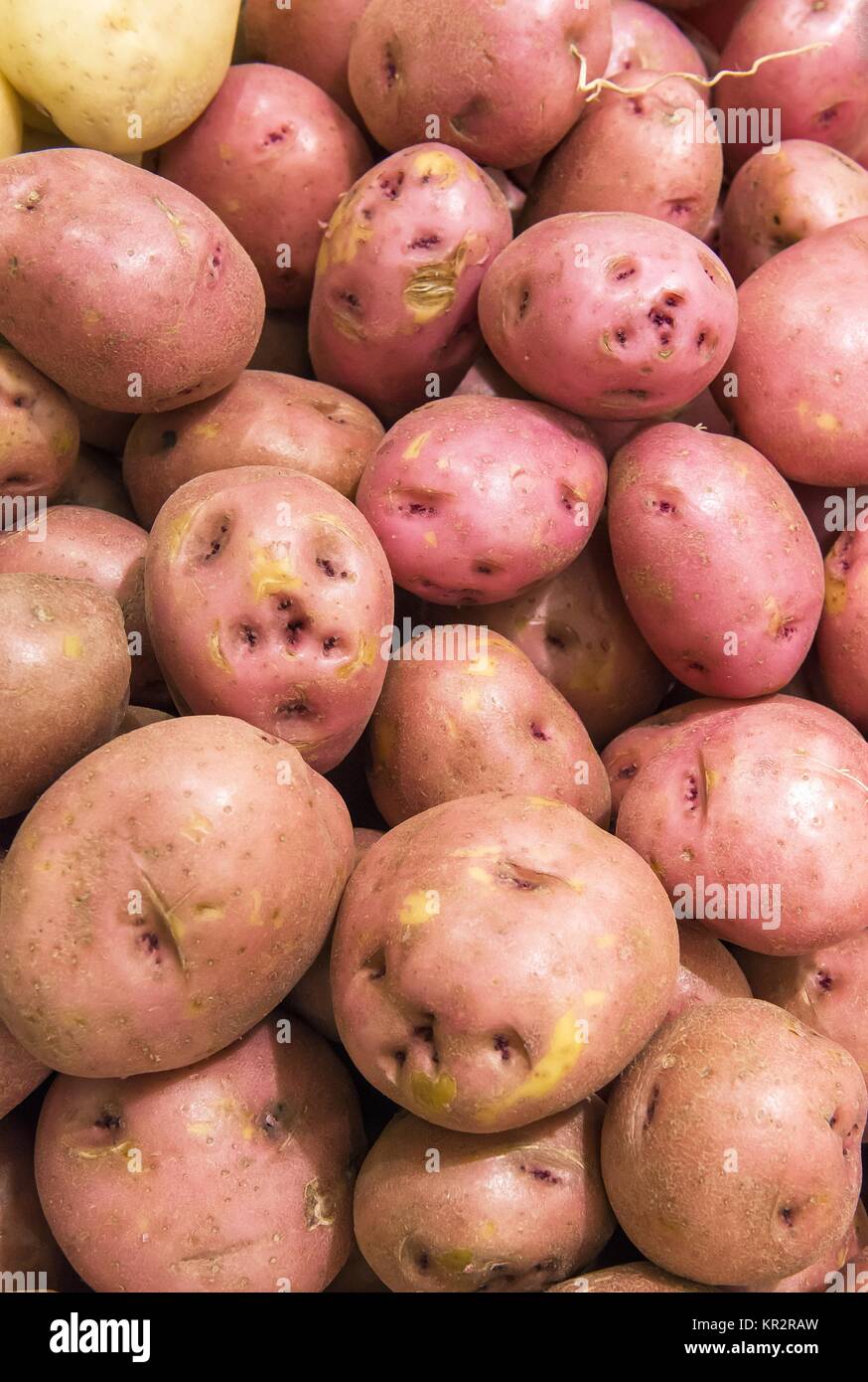 red potatoes from market shelves real with flaws and bruises Stock ...
