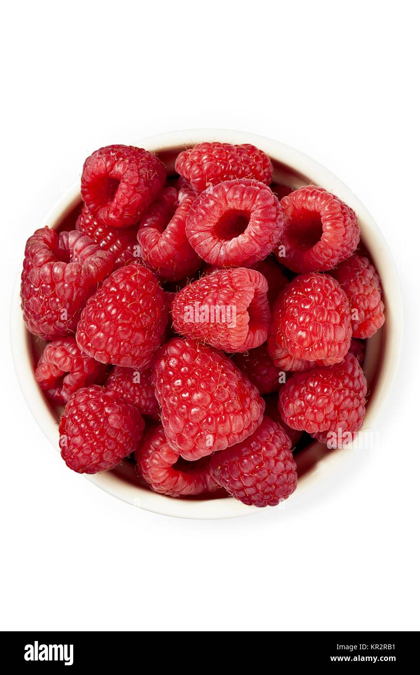 Eurasian red Cut Out Stock Images & Pictures - Alamy