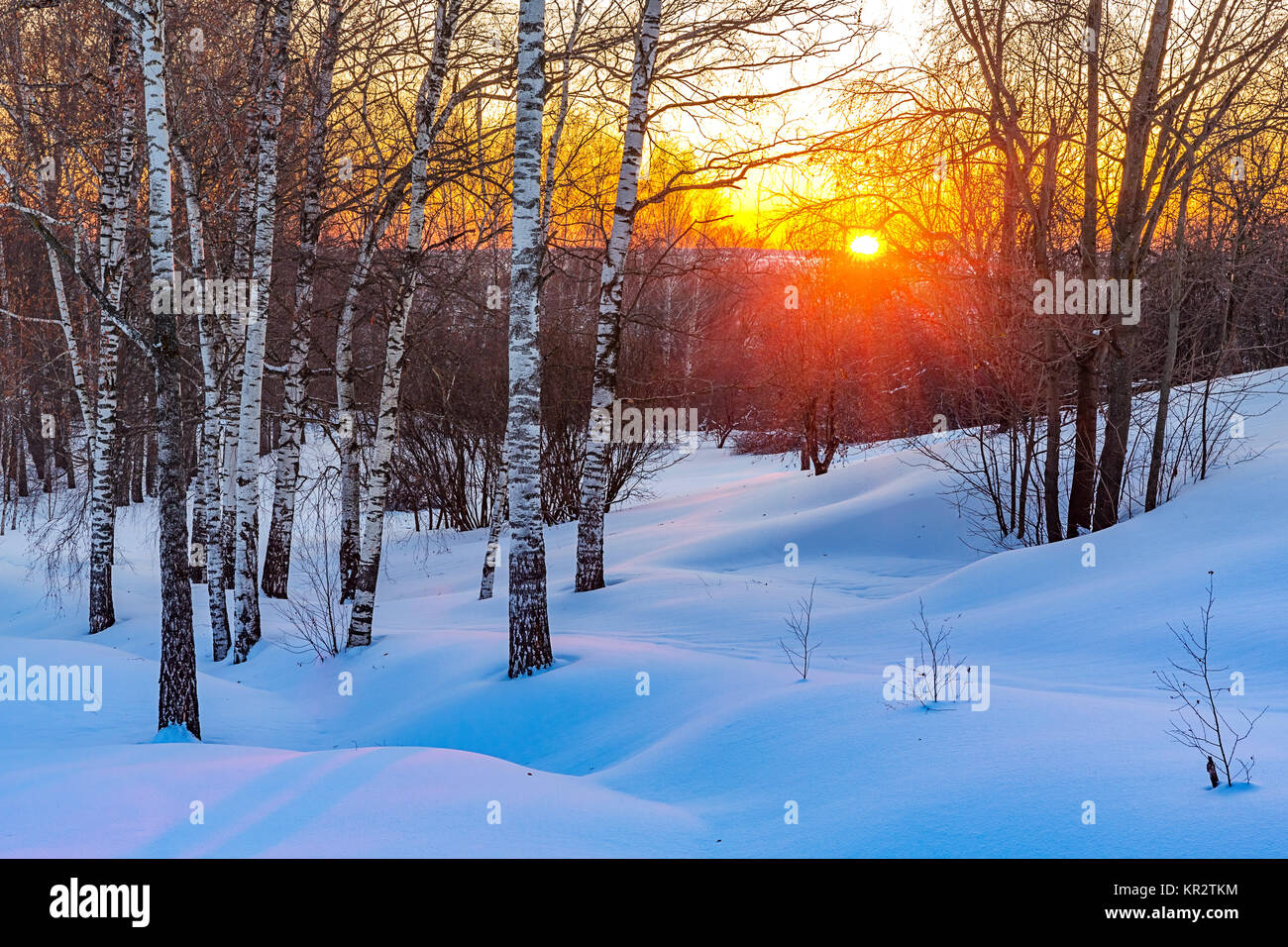 Colorful winter sunset Stock Photo - Alamy
