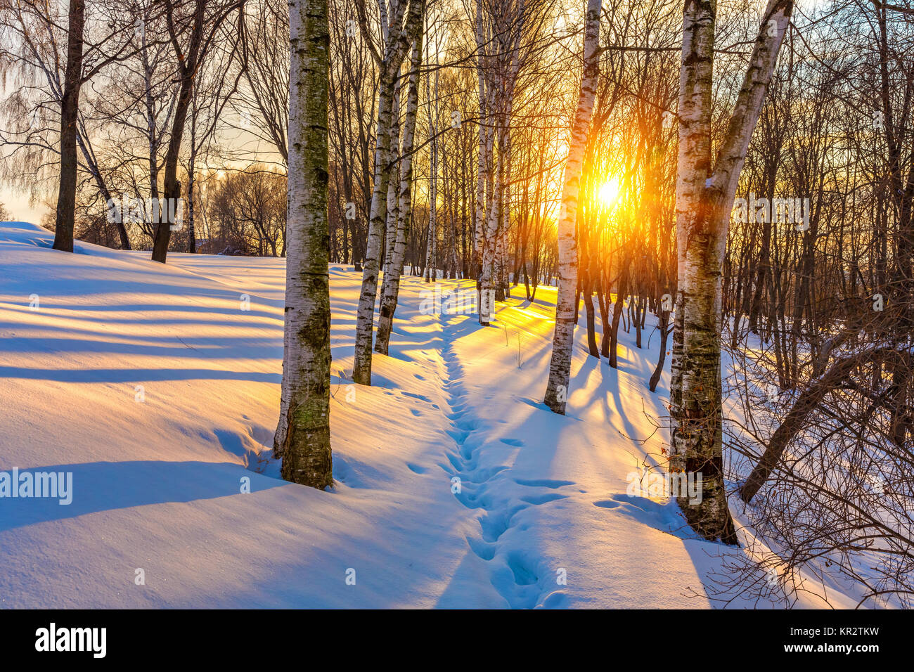 Colorful winter sunset Stock Photo - Alamy