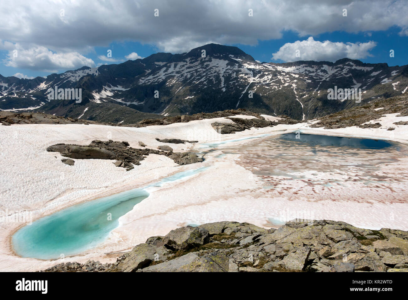 Posets hi-res stock photography and images - Alamy