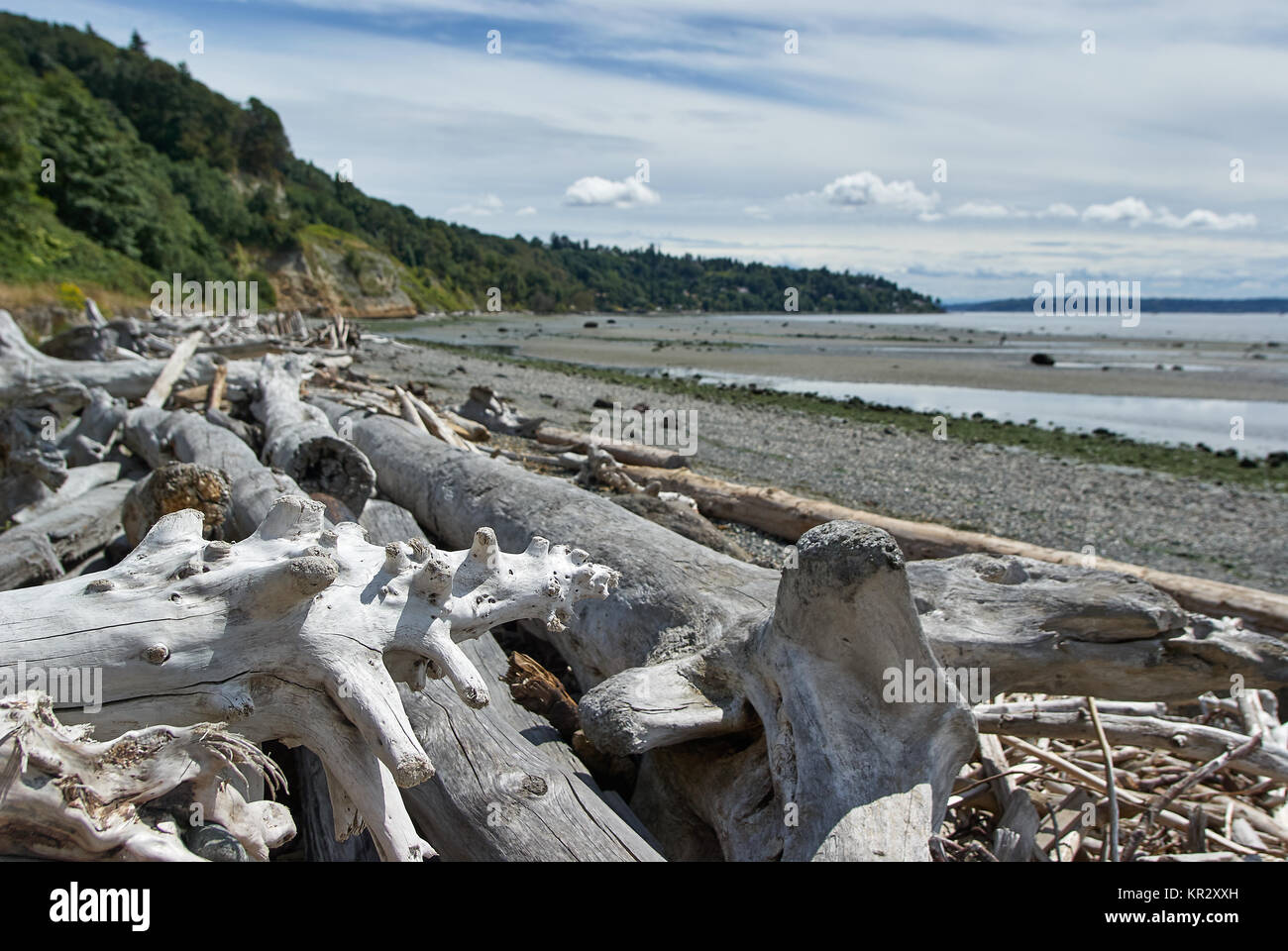 Images from Discovery Park, Seattle, Washington. Around the beach near ...