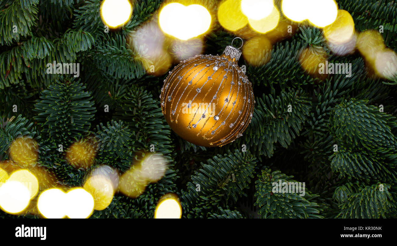 Christmas background with evergreen tree Stock Photo - Alamy