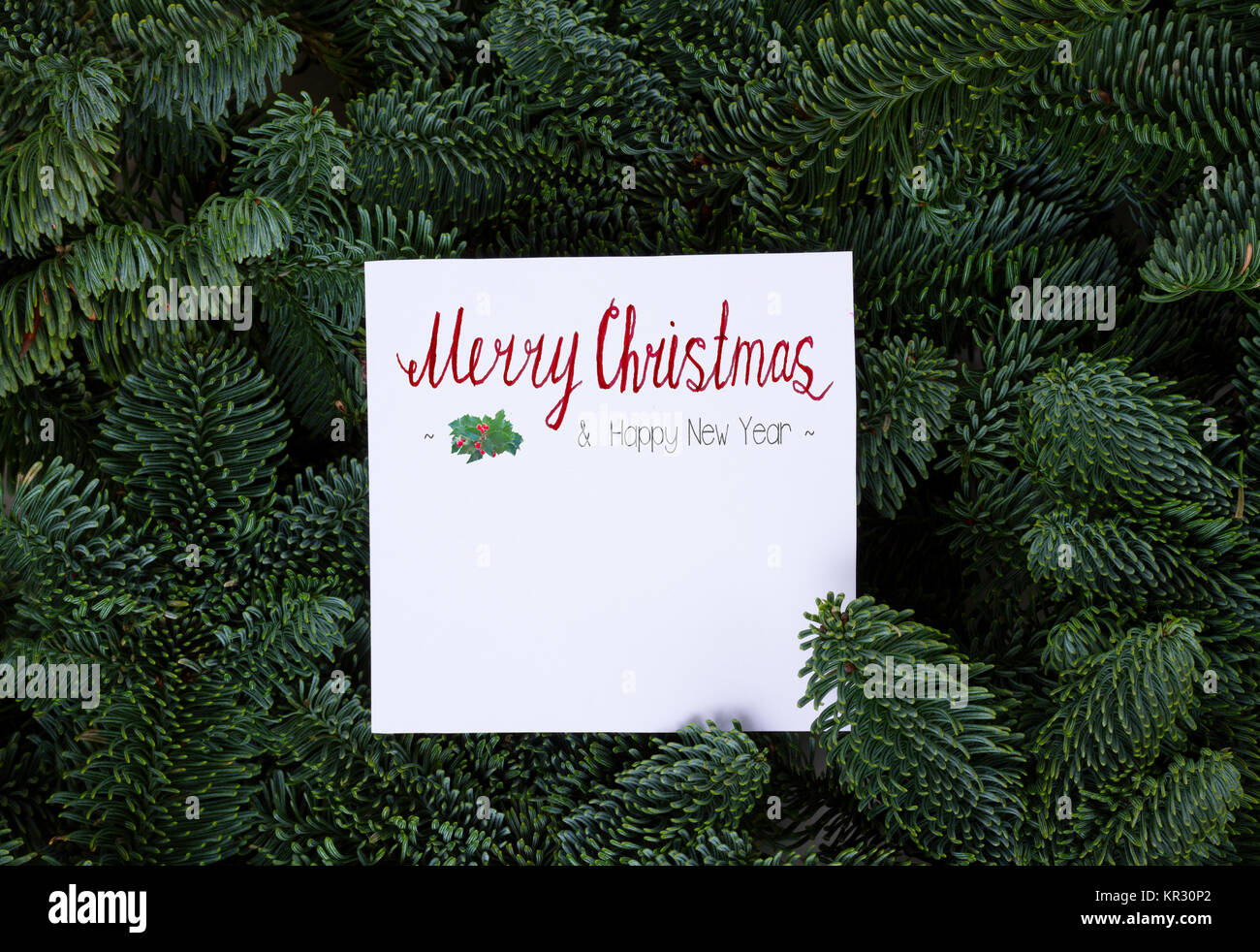 Christmas background with evergreen tree Stock Photo - Alamy