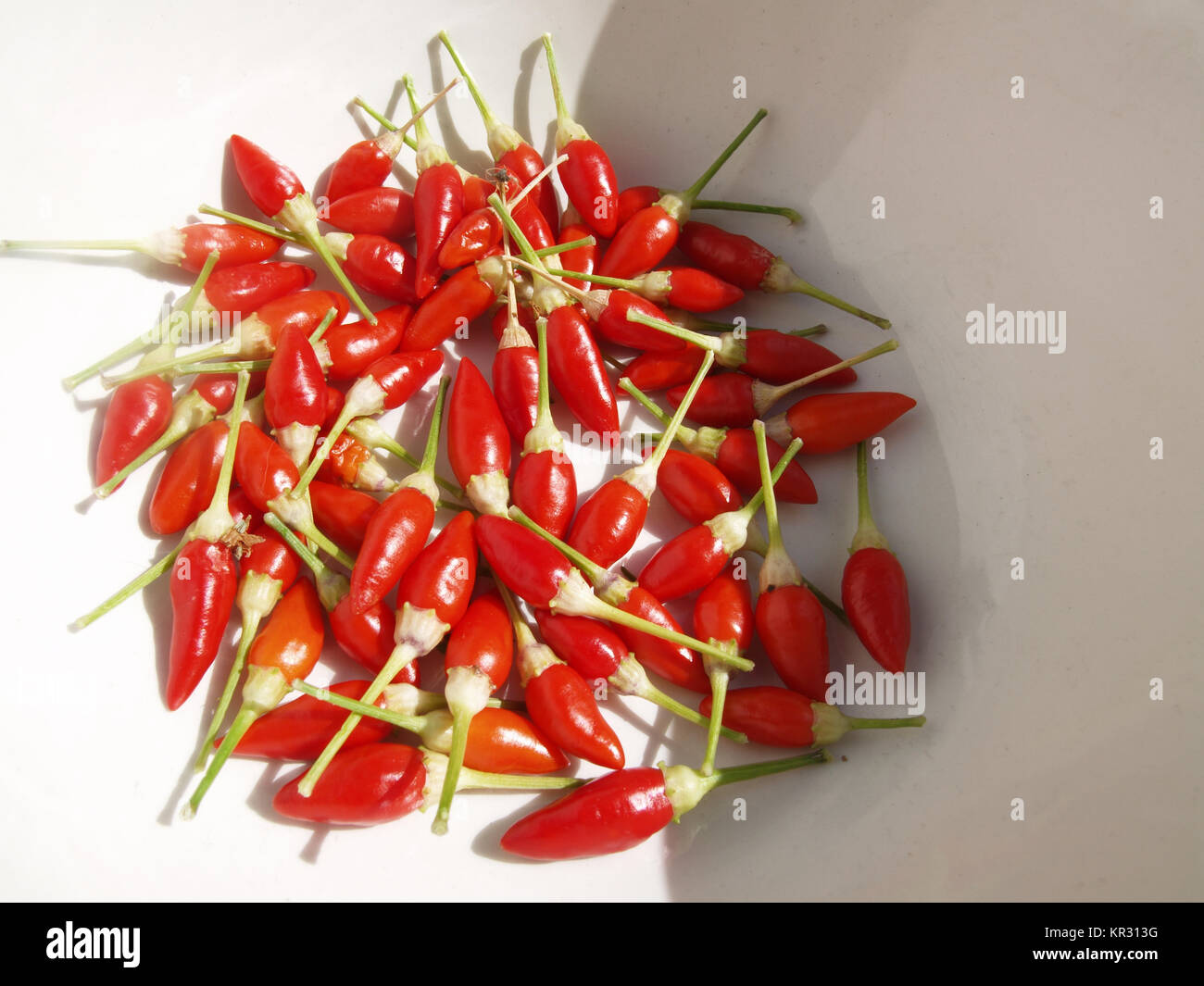 Ornamental chillies hi-res stock photography and images - Alamy