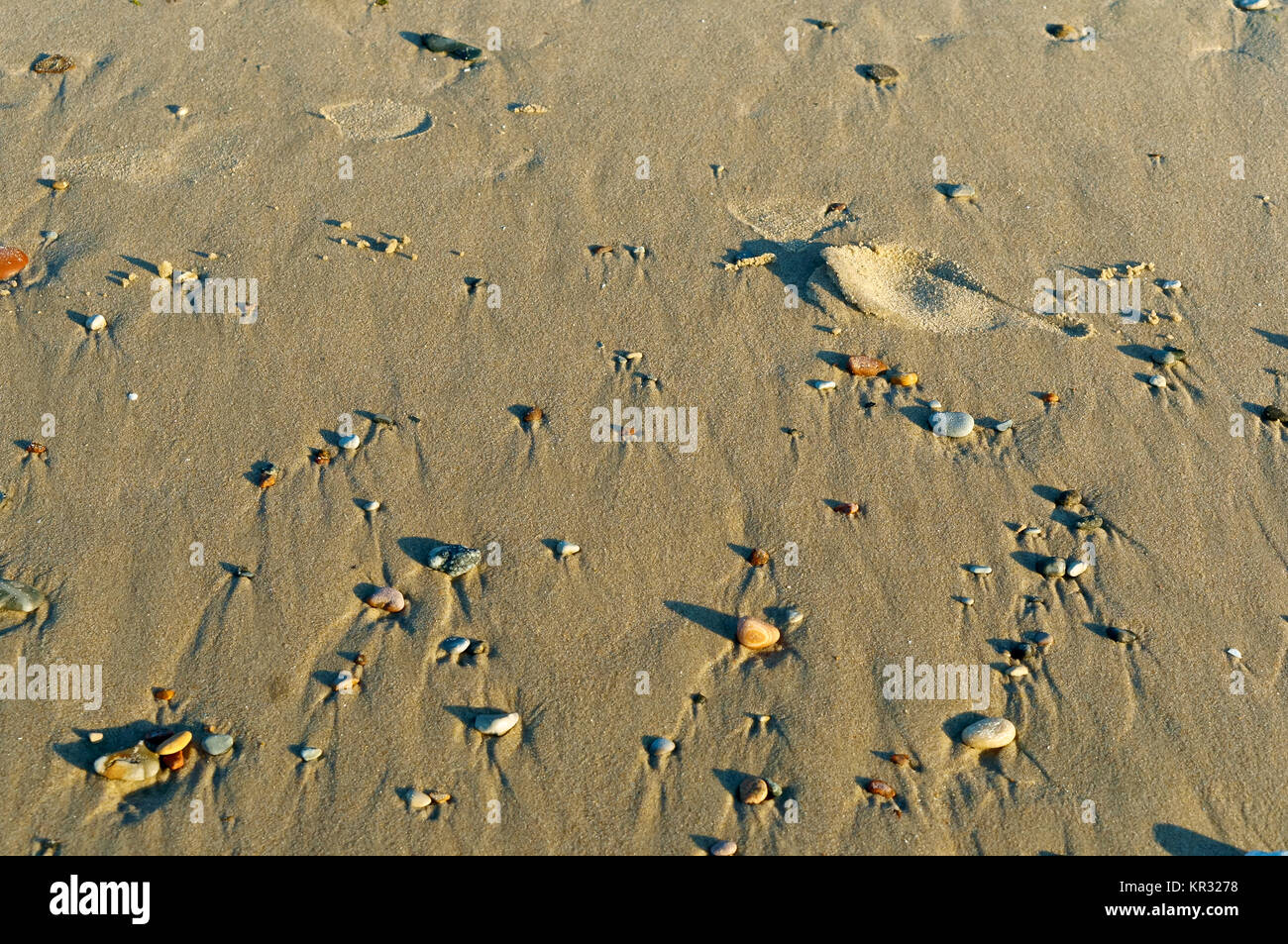little stones on the beach in the sand, rare small pebbles on the sand ...