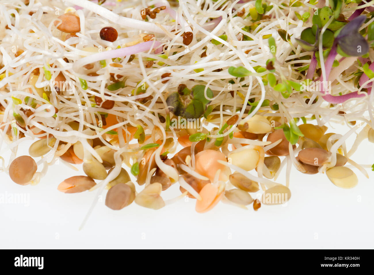 The healthy diet. Fresh sprouts isolated on white background Stock ...