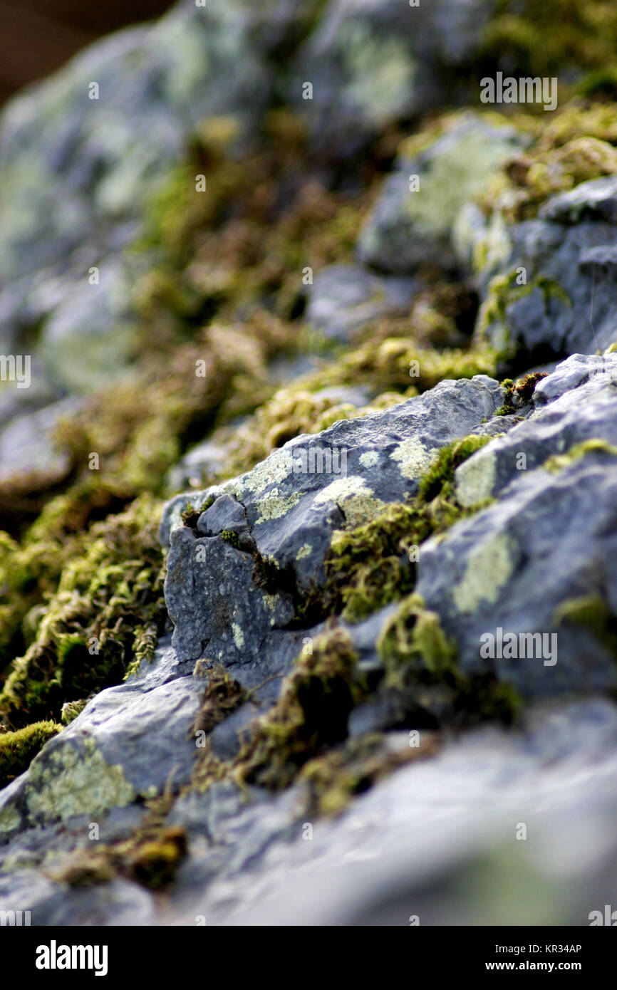 Rock With Moss Stock Photo - Alamy