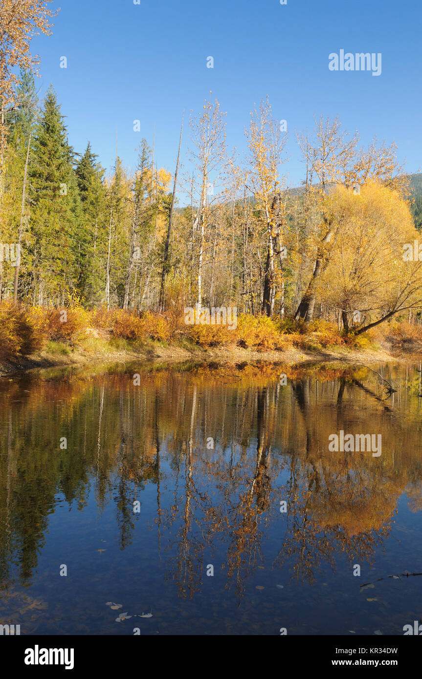 Fall colors around Moose Lake in Northern Idaho Stock Photo - Alamy