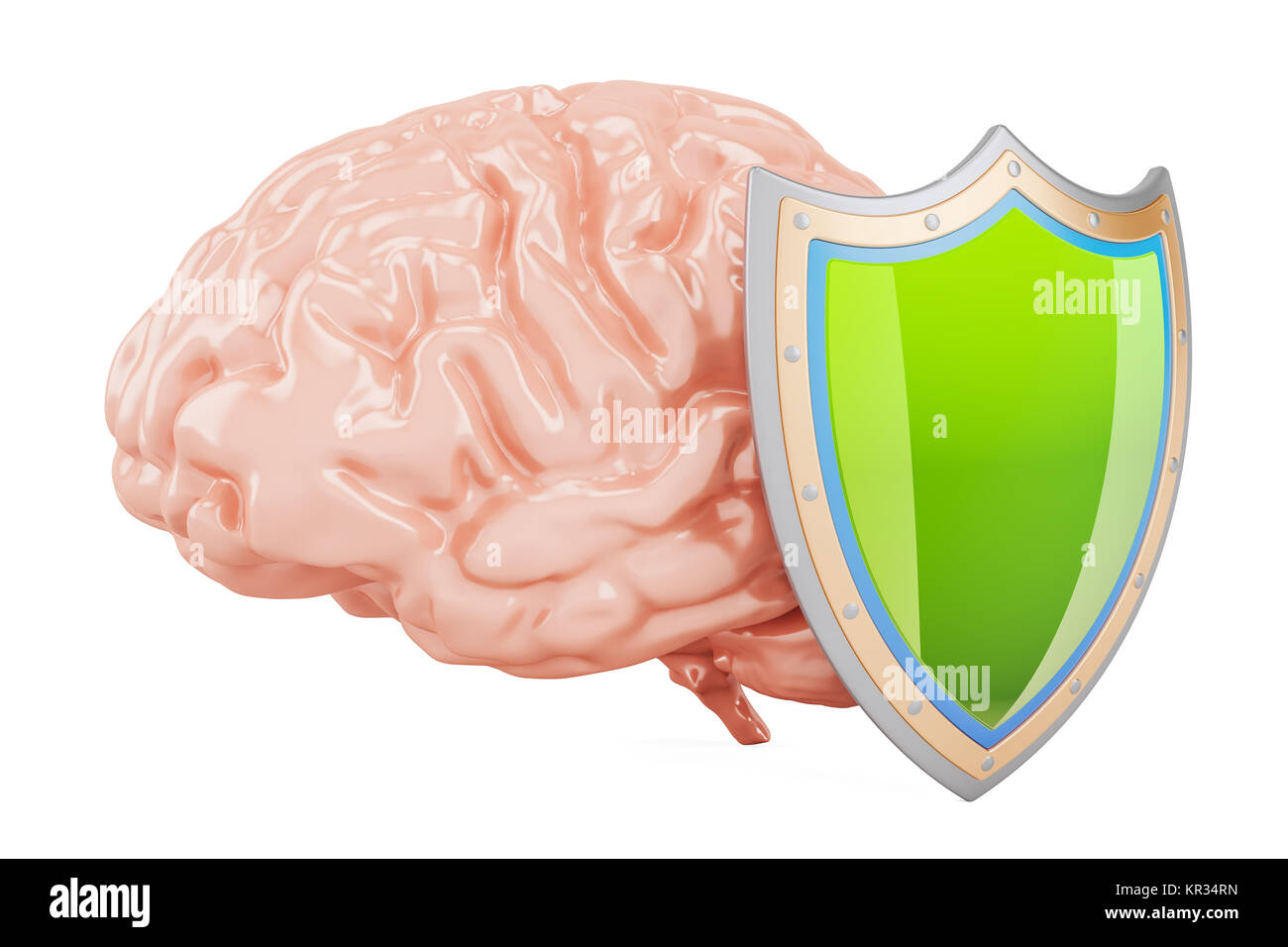 Brain with shield, 3D rendering isolated on white background Stock ...