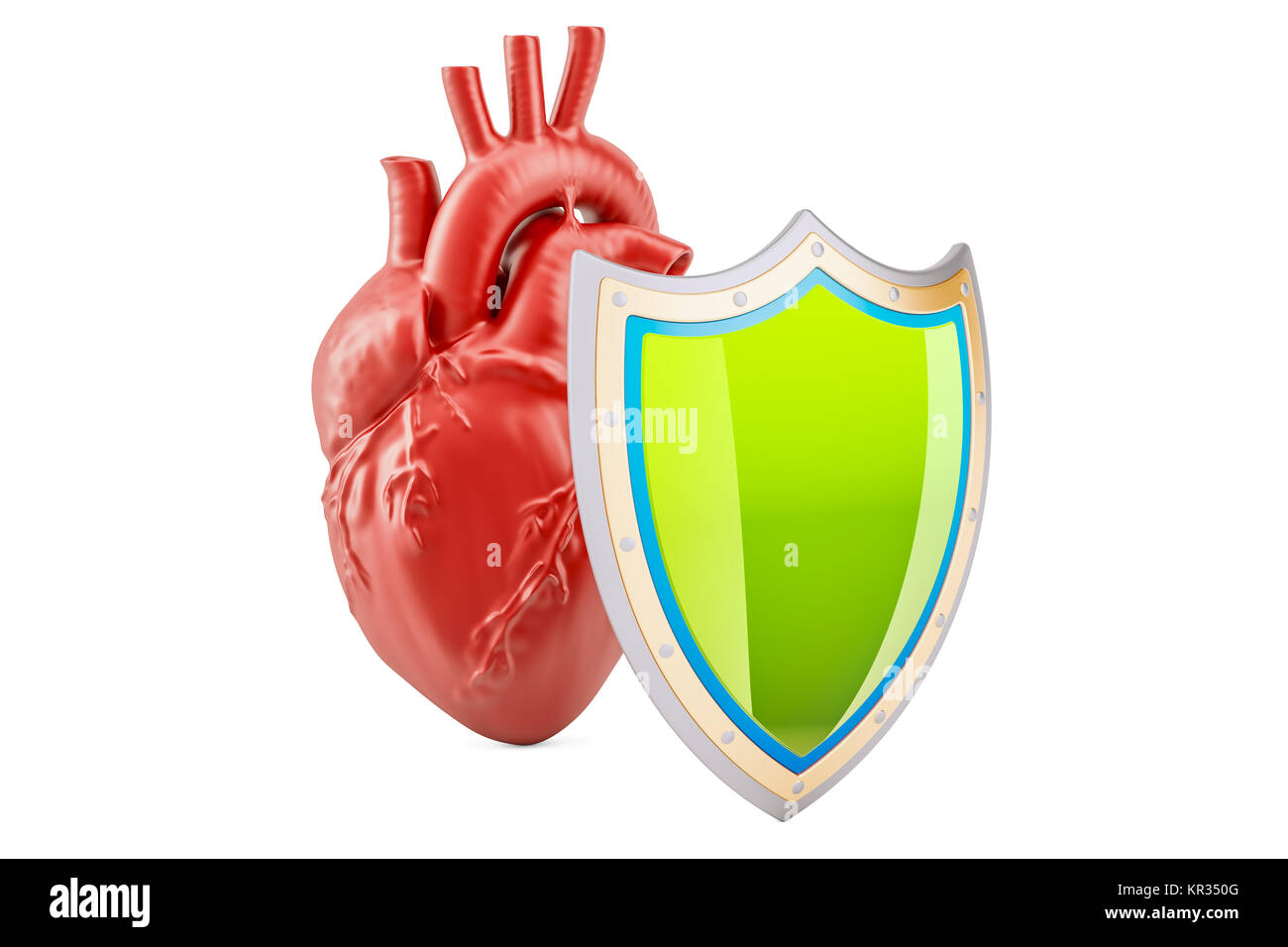 Human heart with shield, health insurance concept. 3D rendering Stock ...