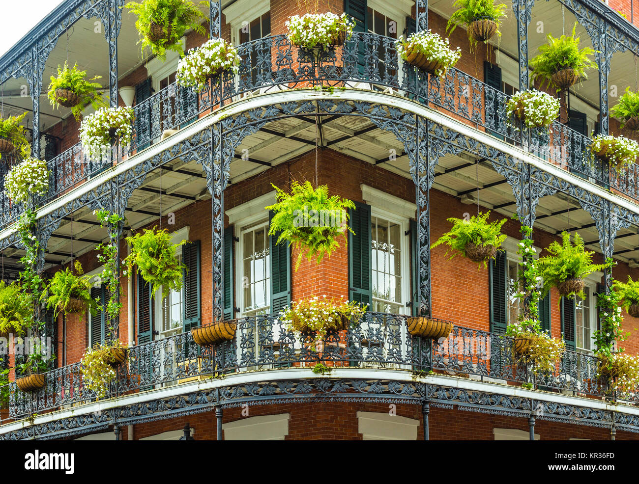 New Orleans French Quarter Buildings