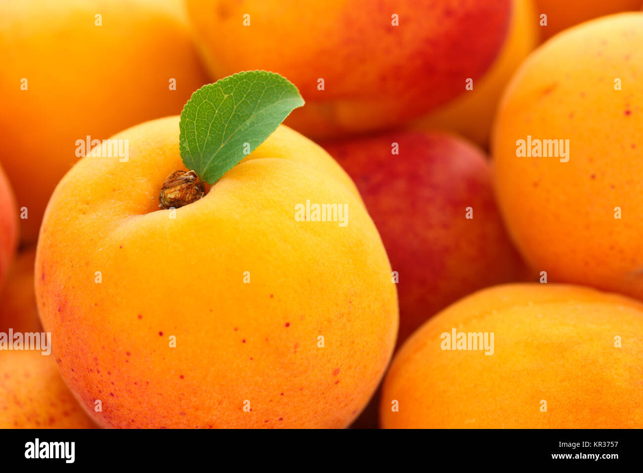 Grocery store cross section hi-res stock photography and images - Alamy