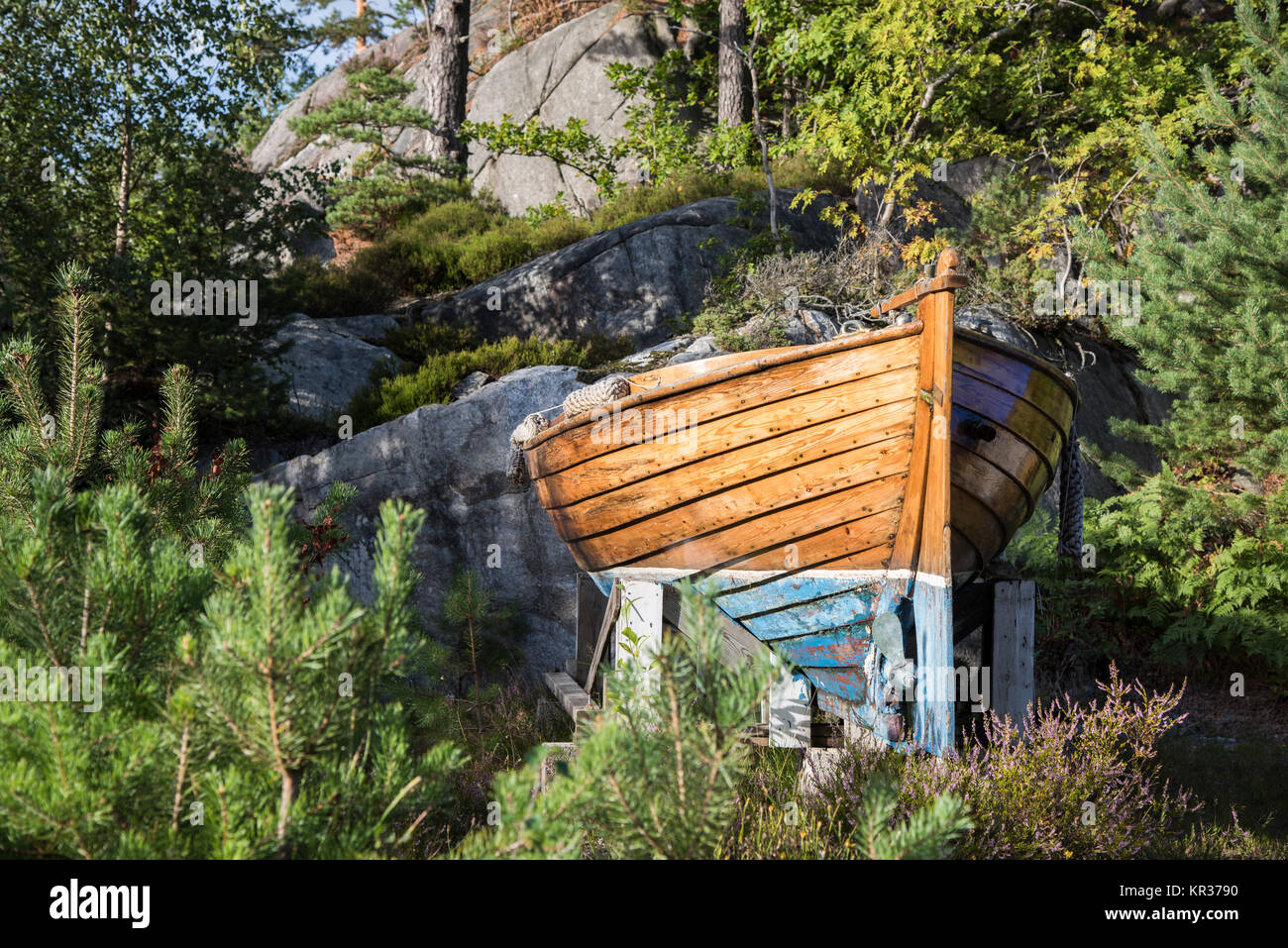boat in the forest Stock Photo - Alamy