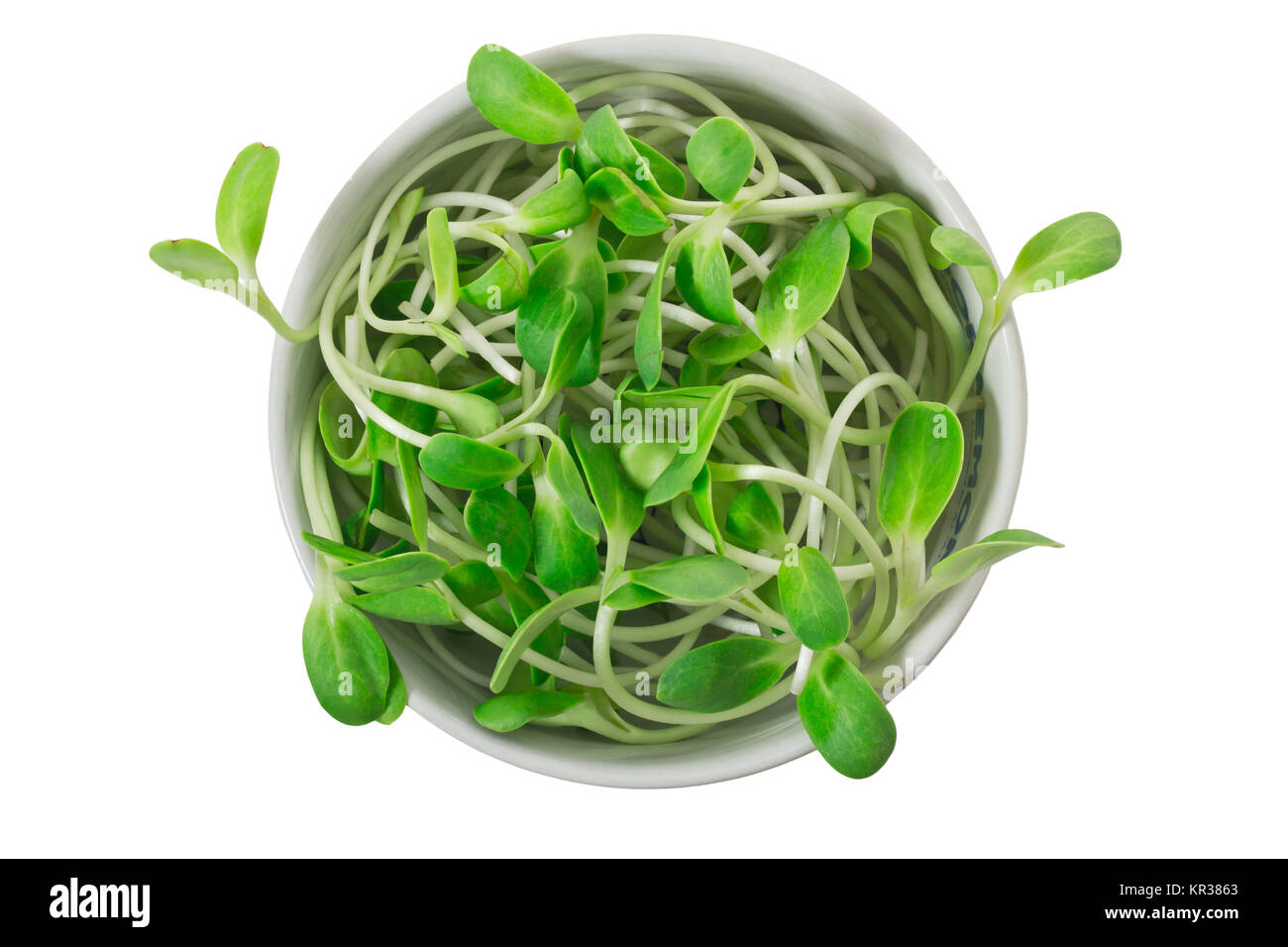 Hop sprouts hi-res stock photography and images - Alamy