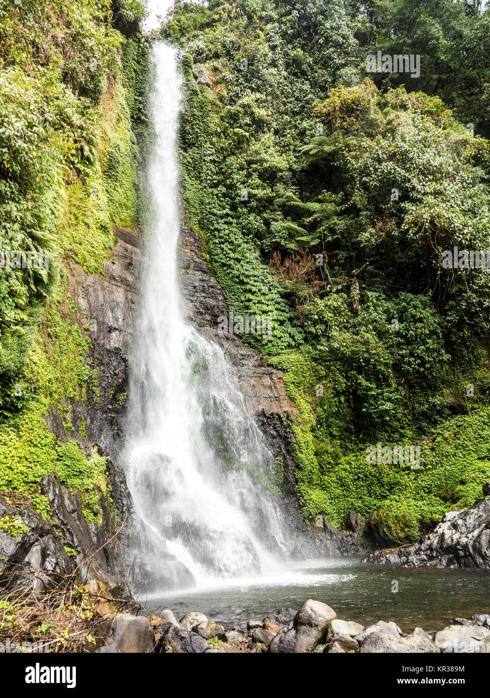 scenic waterfall in Bali, Indonesia in the jungle Stock Photo - Alamy
