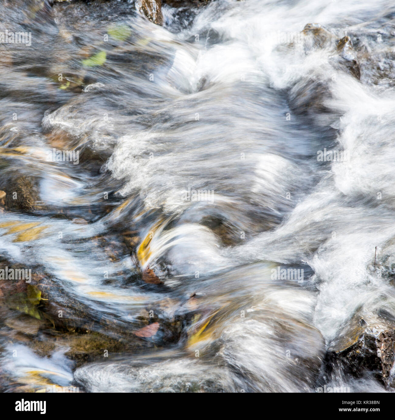close up stream in small mountain river Stock Photo - Alamy