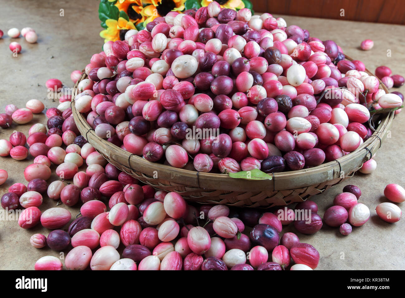 Carunda or Karonda fruit Stock Photo - Alamy