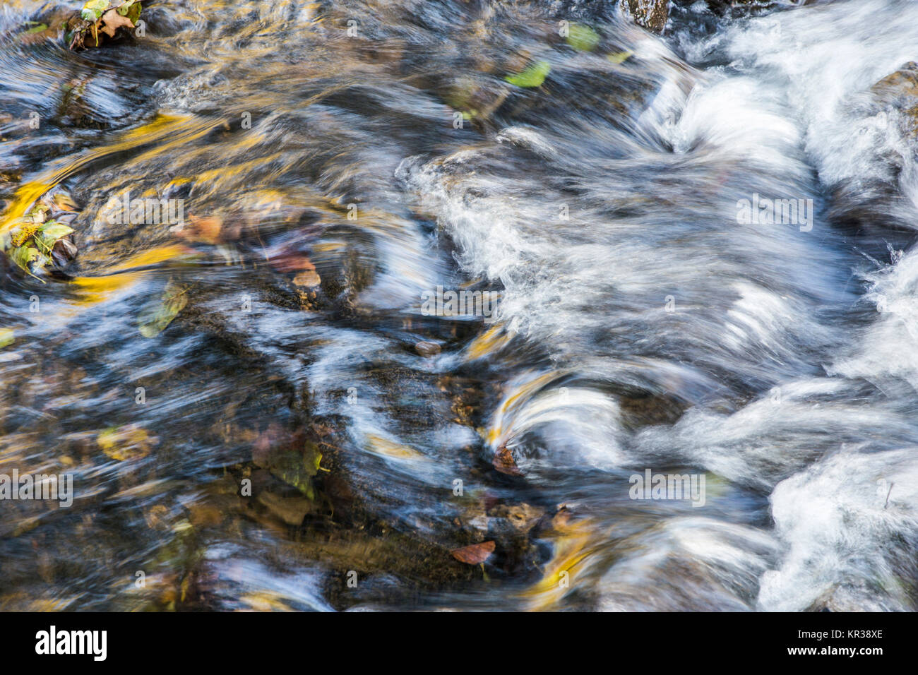 close up stream in small mountain river Stock Photo - Alamy