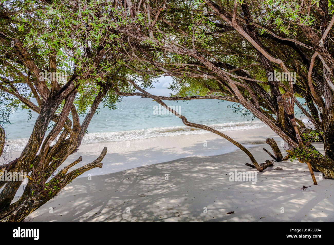 tropical beach in Koh Samet, Thailand with trees Stock Photo - Alamy