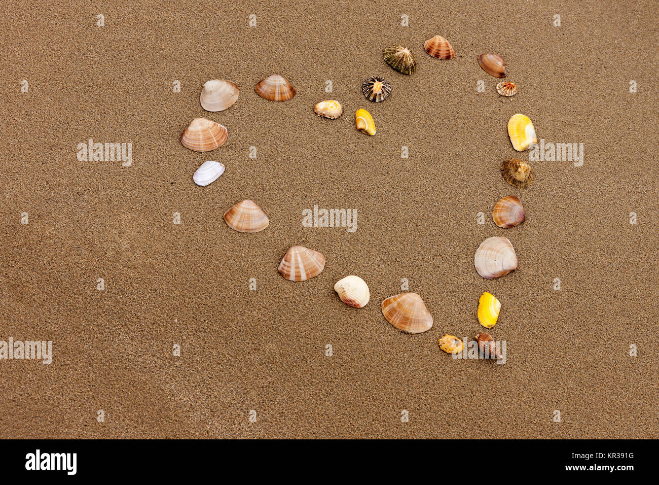 Made from shells hi-res stock photography and images - Alamy