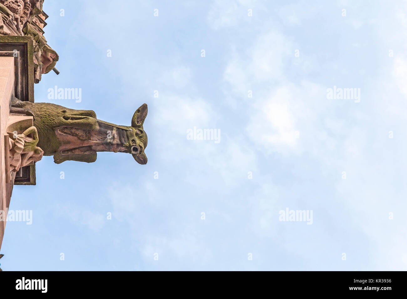 Freiburg cathedral gargoyle hi-res stock photography and images - Alamy