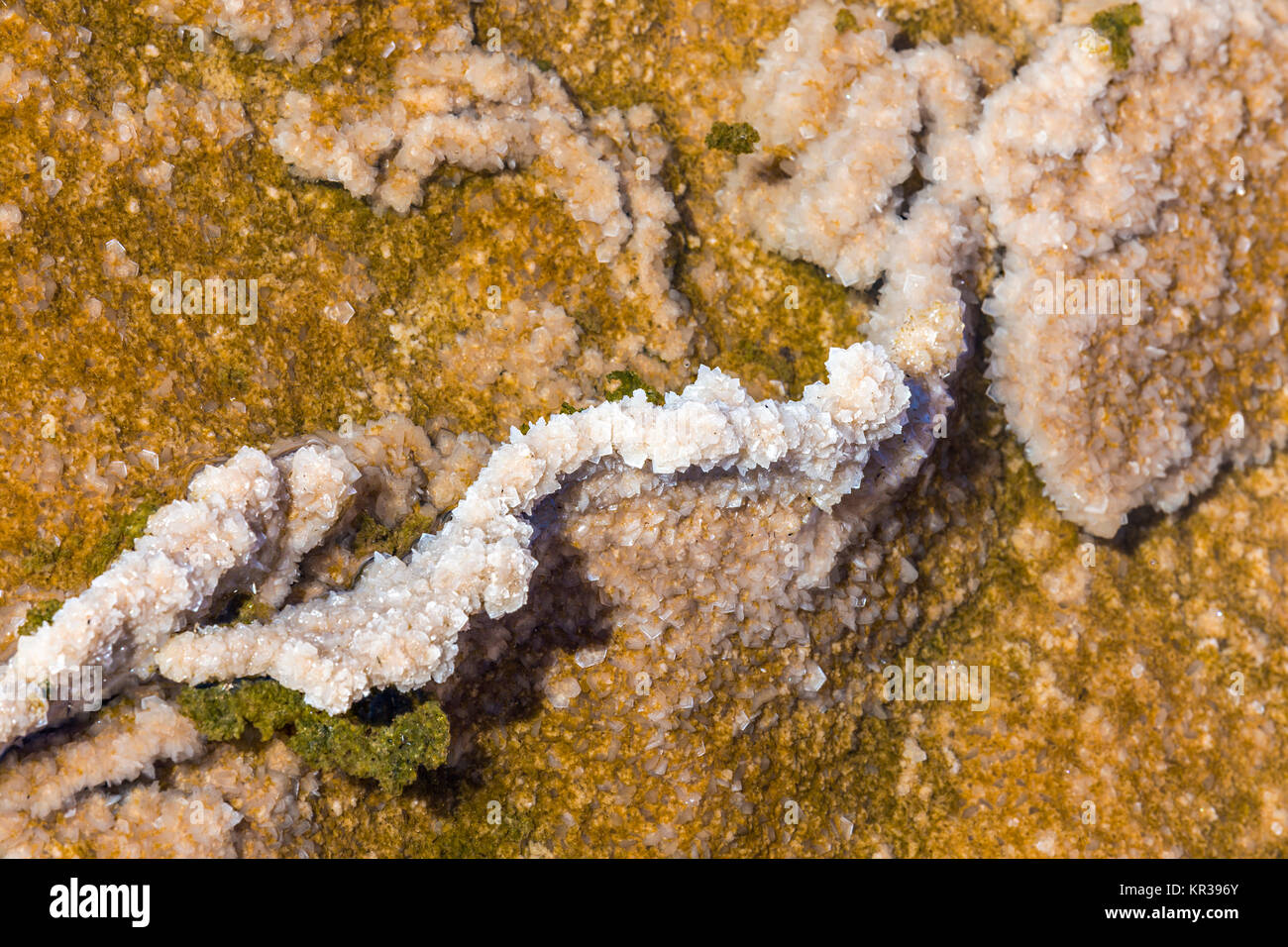 detail of salt basins in saline de janubio Stock Photo - Alamy
