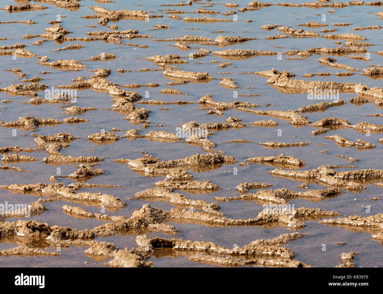 detail of salt basins in saline de janubio Stock Photo - Alamy