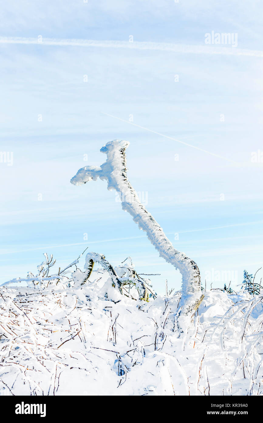 detail of snow and ice at frozen plans at the winter mountain landscape ...