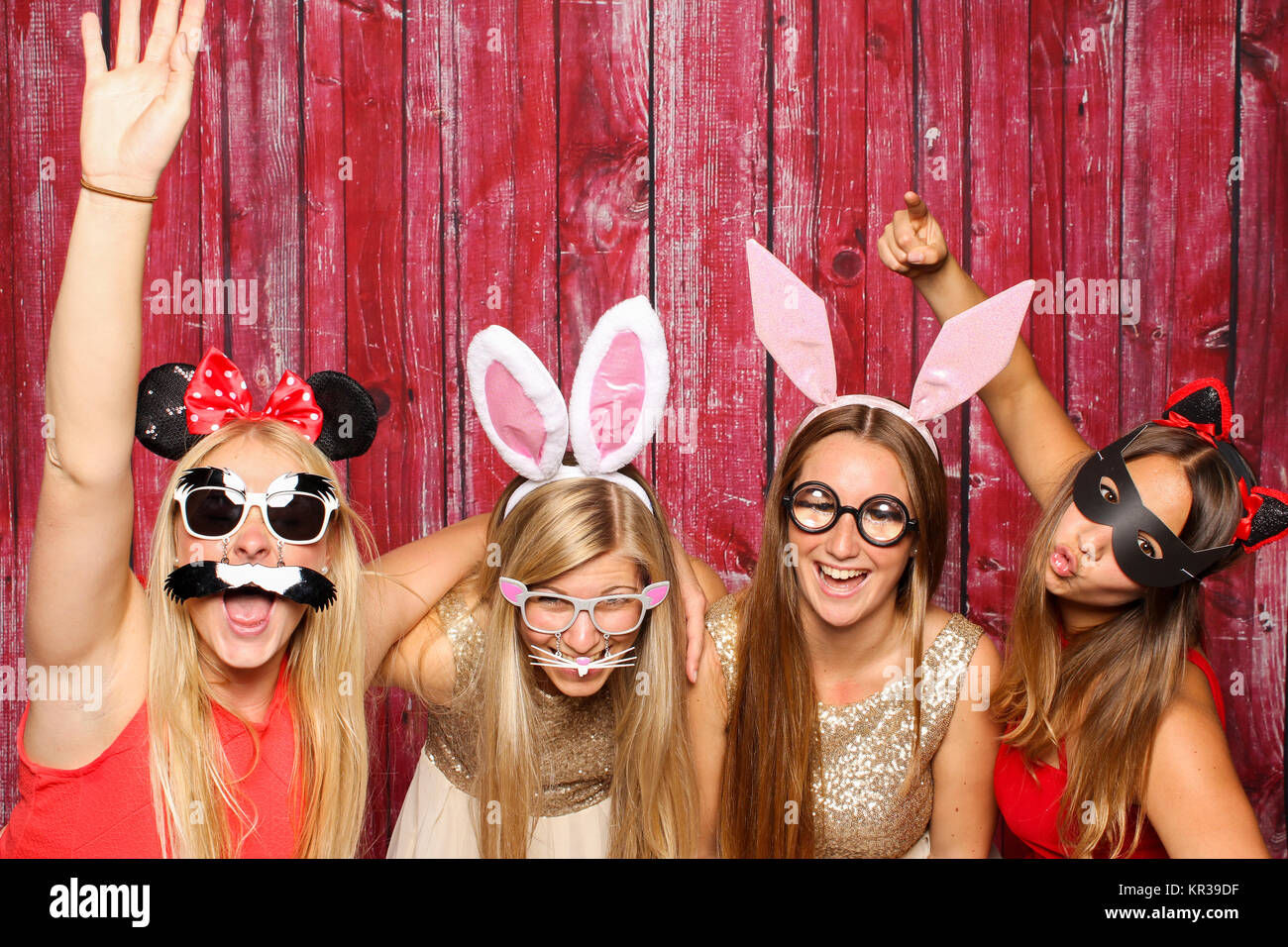 sweet bunnies look stupid - party with a photo box Stock Photo - Alamy